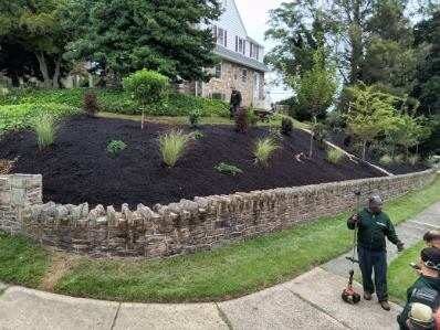 Certified Arborist Tree Service Philadelphia & Montgomery County