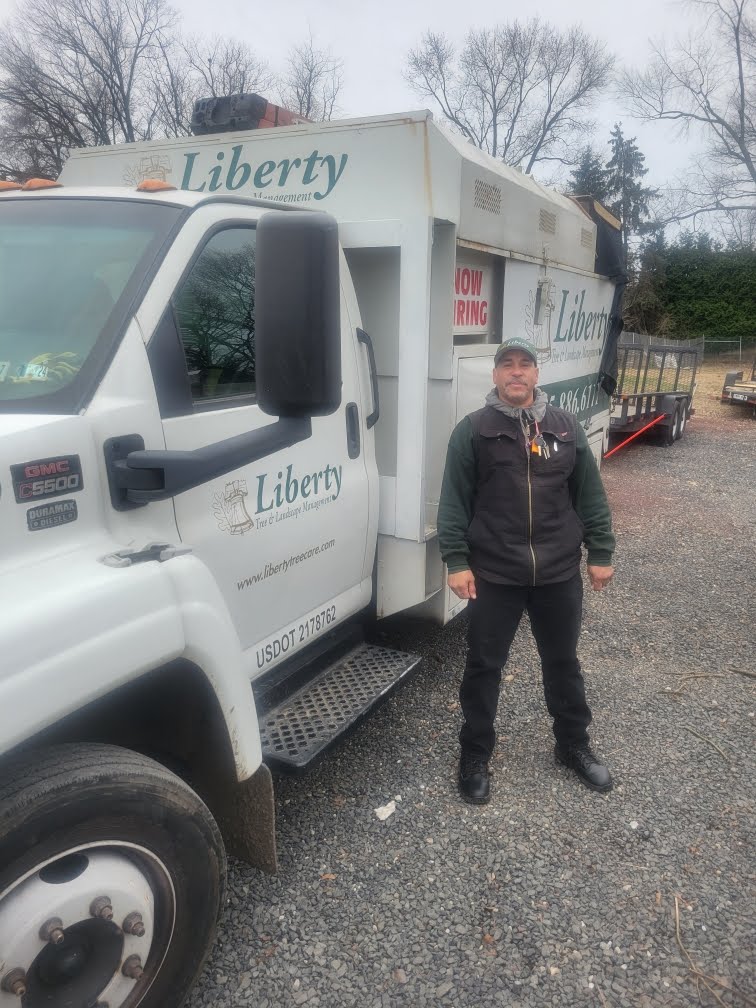 Philadelphia S Isa Certified Arborists